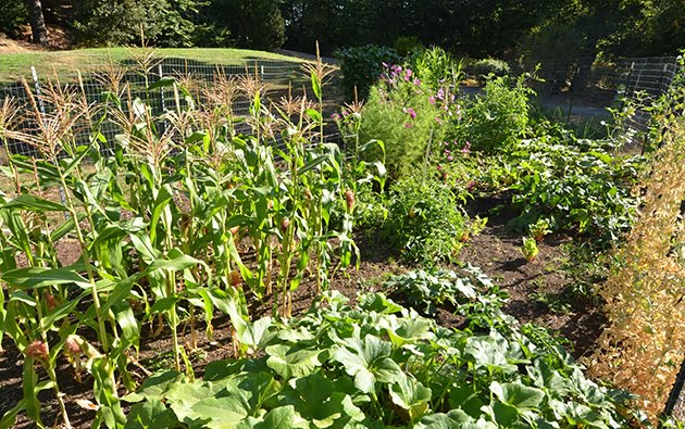 Home - Woodscape Glen